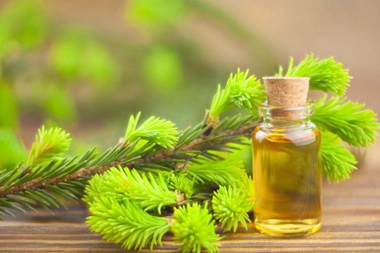 Waste Oil Collection & Cooking Oil Services for the Catering Industry